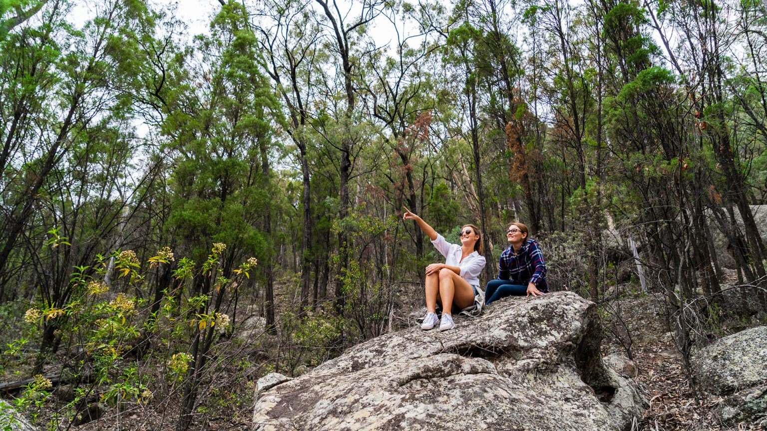 Things To Do In Singleton | Singleton Hunter Valley