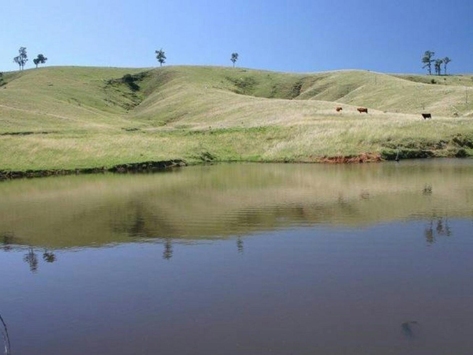 The Pioneer, bronze sculpture | Singleton Hunter Valley