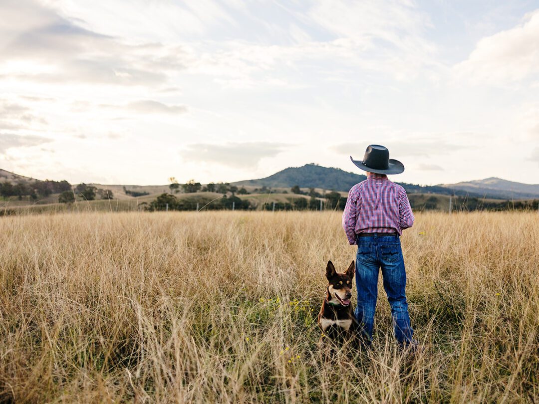 Investment Opportunities | Singleton Hunter Valley